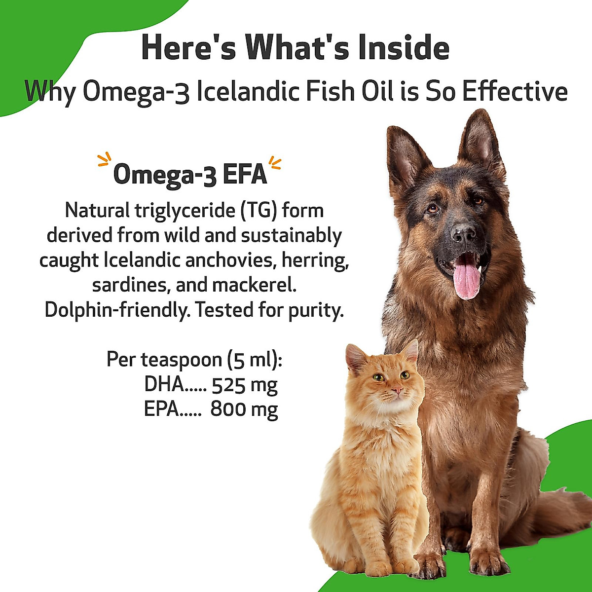 Pet Wellbeing Omega-3 Daily EFA Fish Oil for Dogs & Cats - Healthy Skin, Coat, Mobility, Joints, Heart Health - EPA, DHA - 8 fl oz (236 ml)