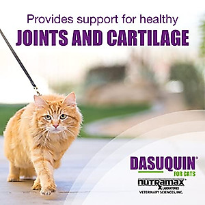 Nutramax Dasuquin Joint Health Supplement for Cats - With Glucosamine, Chondroitin, ASU, Boswellia Serrata Extract, and Green Tea Extract, 84 Capsules