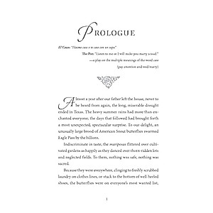 Summer of the Mariposas