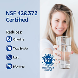 Cenmela CML005 Compatible with Frigidaire ULTRAWF, Pure Source Ultra, Kenmore 9999, 469999, 46-9999, A0094E28261, 242017801, 241791601 Water Filter, Height 11 inches, Pack of 1