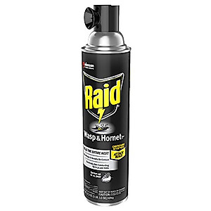 Raid Wasp and Hornet Killer (Pack - 2)