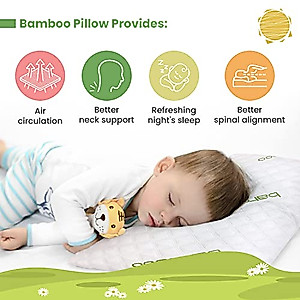 Sleepsia Toddler Pillow - Supersoft (13" X 18") Small Pillow with Bamboo Cover - Ultra Supportive Shredded Memory Foam Toddler Neck Pillows for Sleeping - Green