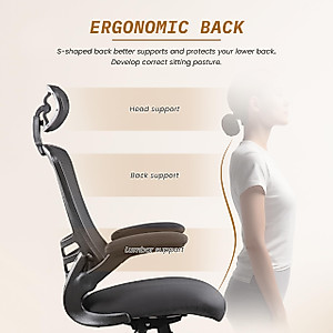 BOJUZIJA Ergonomic Office Computer Desk Chair,Adjustable Headrest,Flipped Arms,Lumbar Support 360°Swivel Task Chair -Black
