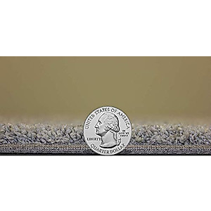 KOECKRITZ Custom Sized Area Rug (Color: Pewter Gray). You Measure The Space, and We'll Custom Cut Your Rug to Fit