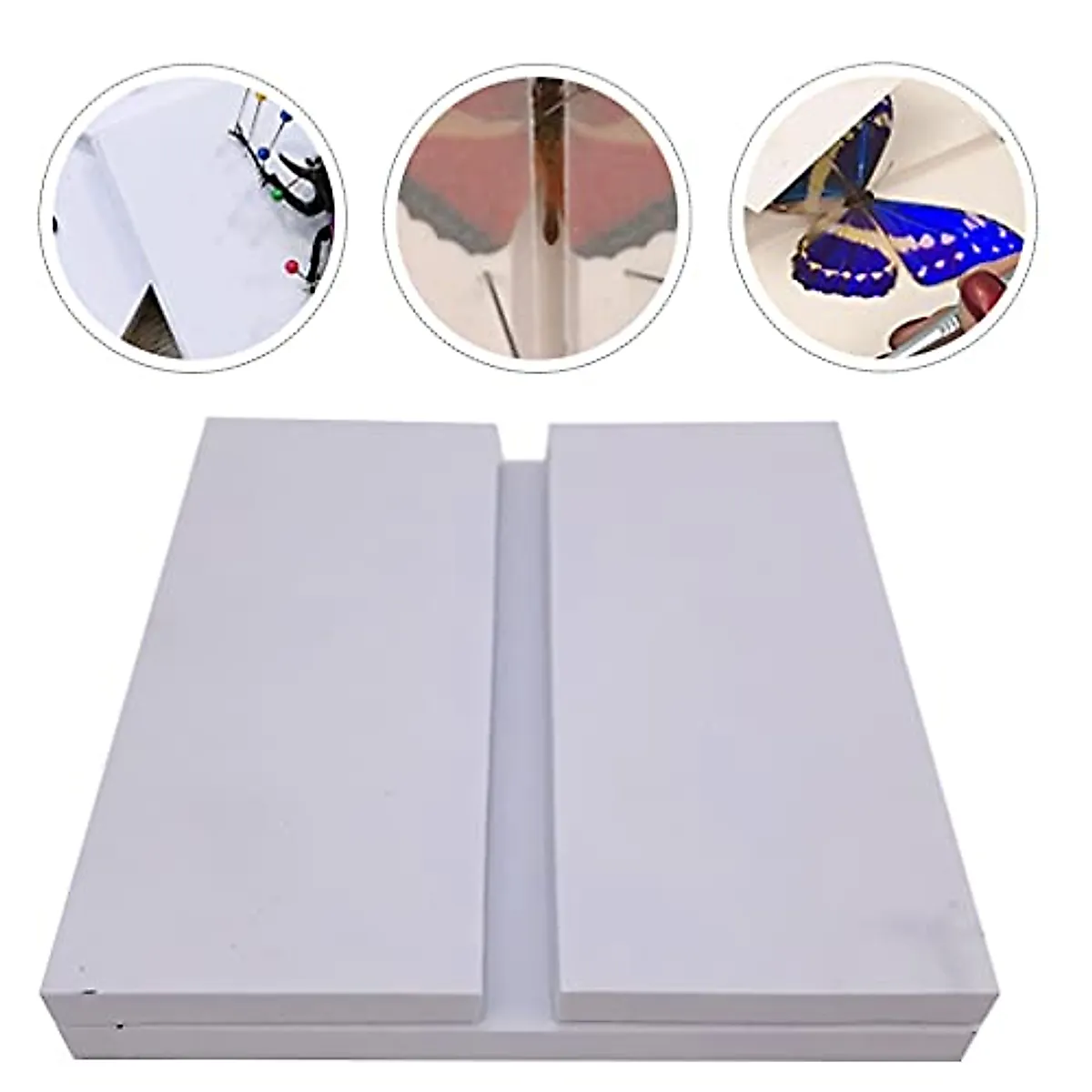 iplusmile Insect Display Box, Bug Display Board Insect Pinning Board Butterfly Mounting Spreading Board Specimen Spreading Board for Science Education