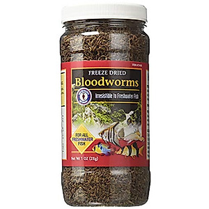 San Francisco Bay Brand Freeze Dried Bloodworms 1 oz.