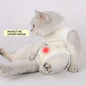 WZ PET Cat Surgery Recovery Suit,Soft Recovery Suit for Cats After Surgery Wear,Professional Cat Recovery Suit Female(Yellow,S)