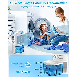 LONONEN Dehumidifiers - 5000 Cubic Feet Upgraded Large Dehumidifiers for Home Basements with Drain Hose, 61 oz Quiet Portable Dehumidifier Small for Room Bathroom Bedroom Closet RV Up to 450 Sq ft
