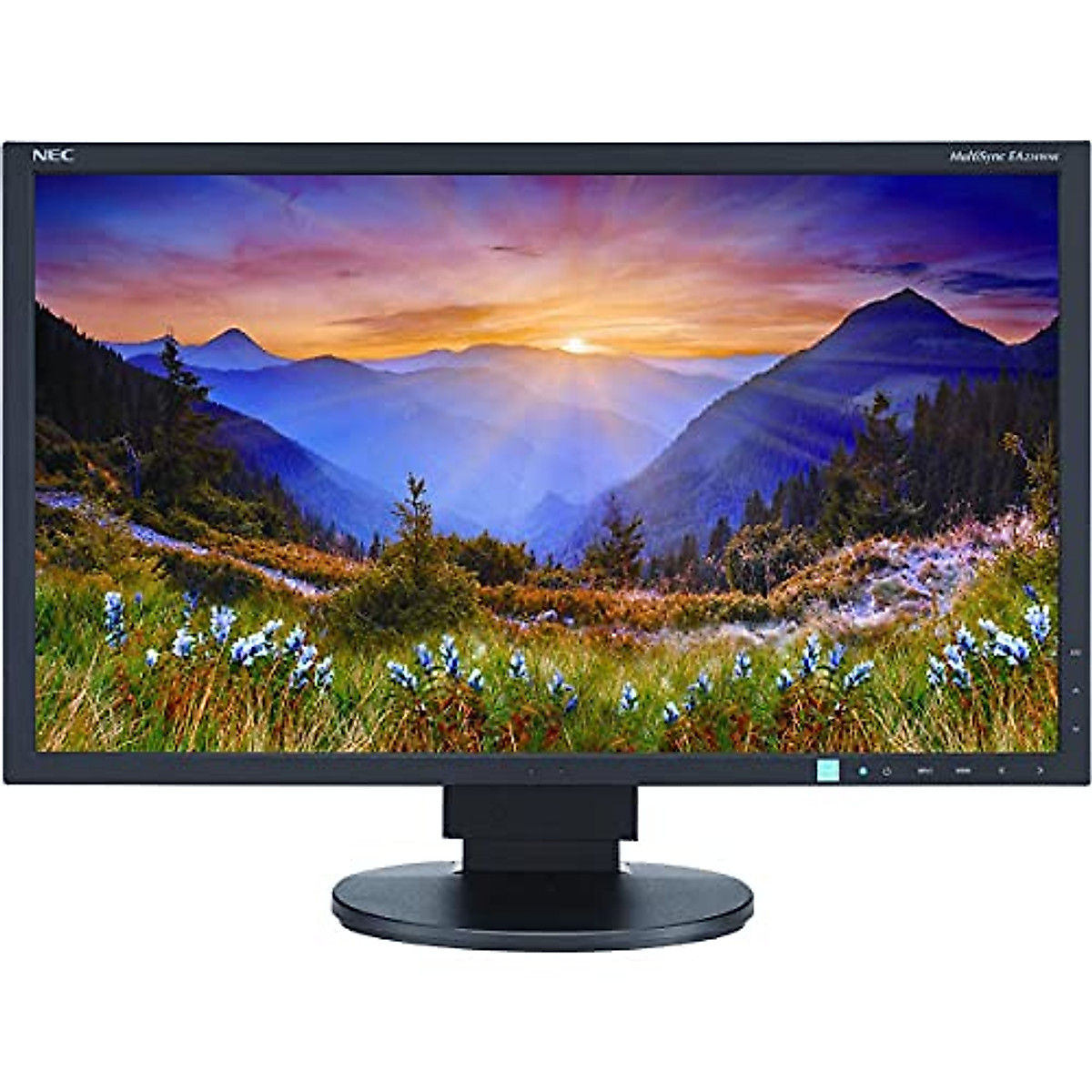 NEC EA234WMI-BK 23-Inch Screen LED-Lit Monitor,Black