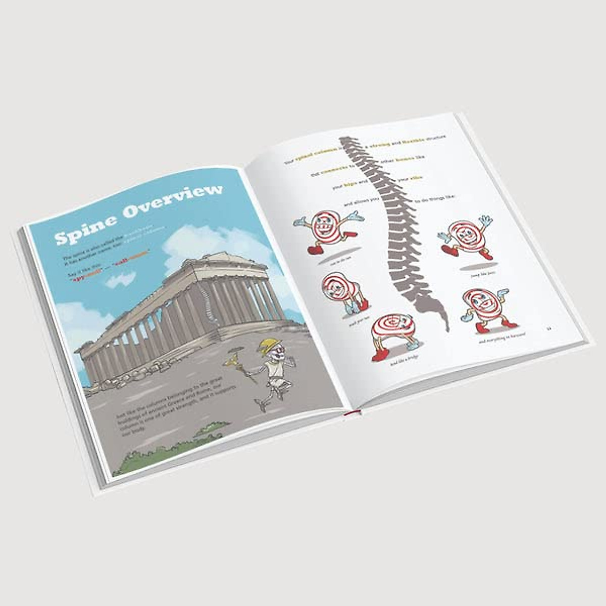 Know Yourself - 206 Bones of The Human Body Bonus Bundle, Interactive Activity Workbooks to Learn About The Human Body, Skeleton Coloring Kit, Crayons, Educational Playing Cards, for Ages 8-12