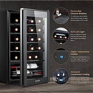 BODEGACOOLER 24 Bottle Compressor Wine Cooler, Freestanding Wine Cellar for Red, White or Champagne，Mini Fridge with 41-64.4°F Digital Temperature Control Glass Door