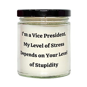 I'm a Vice President. My Level of Vice President Scent Candle, Inspire Vice President Gifts, for Coworkers from Team Leader, Gift for vice President, Present for vice President, Gift Ideas for vice