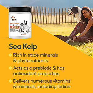 Kelp Powder for Dog & Cat - Organic Sea Kelp Supplement Granules Powder (16 Oz, 1 Pound)