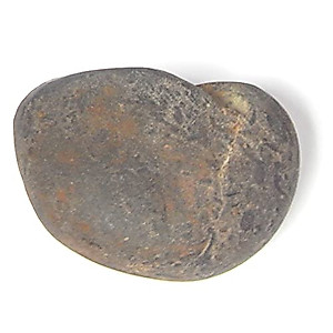 XUETZALCOATL Sacred Adwaitya Maha Vishnu Shaligram Nepal Kali Gandaki