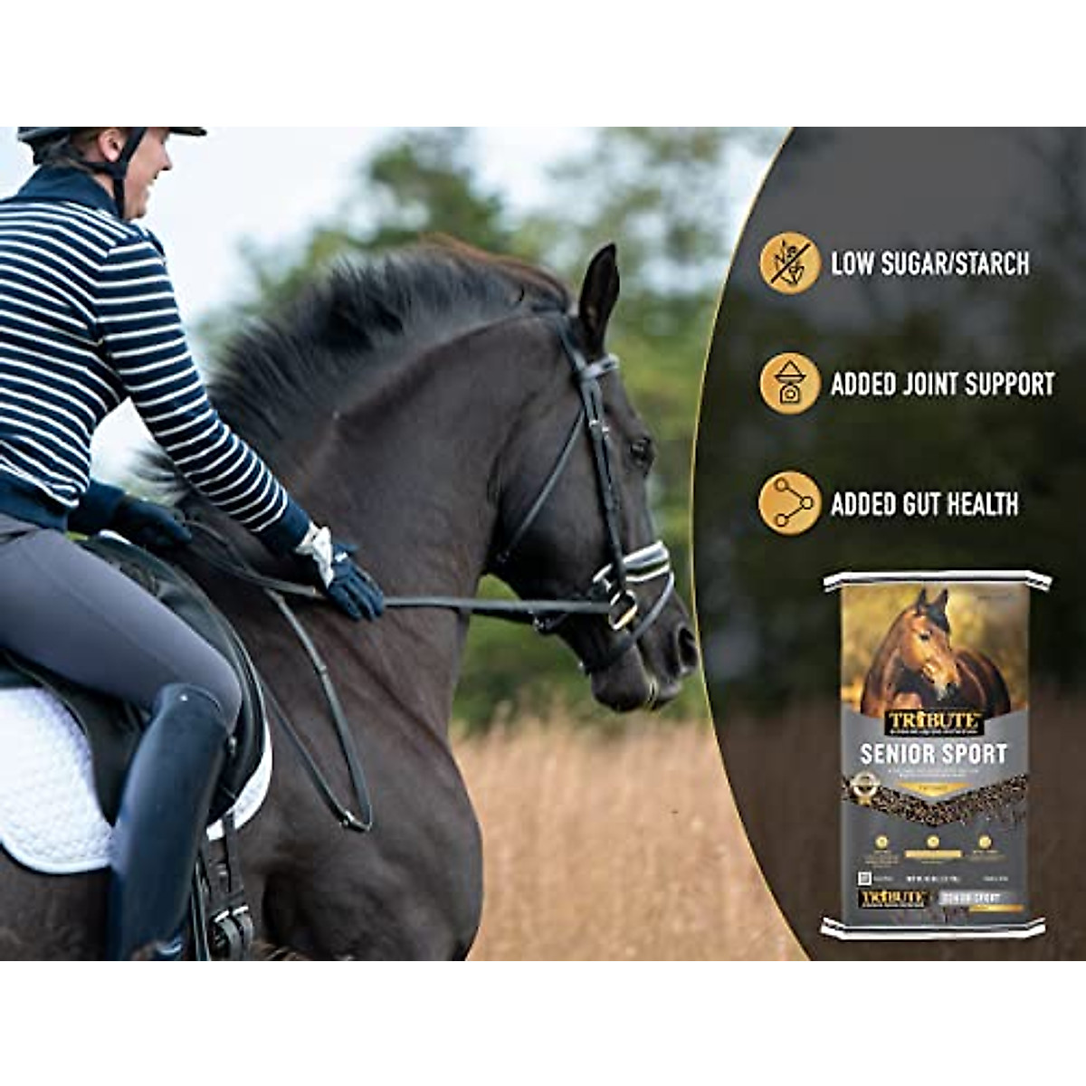 Senior Sport Textured Feed for Horses