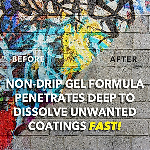 Smart 'n Easy Porous Surface Graffiti Remover - Eliminates Unwanted Graffiti from Unpainted Wood & Masonry Surfaces - Removes Aerosol Spray Paints, Crayon, Marker, Ink, Paint, Coatings - 1/2 Gallon