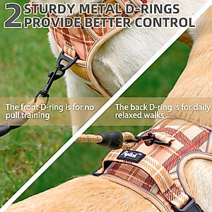 PUPTECK No Pull Dog Harness and Leash Set with Handle Reflective Adjustable Padded Vest Escape Proof for Small Medium Large Dogs Walking Training Hiking, Plaid Beige L