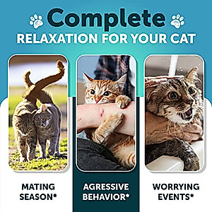 Hemp Cat Calming Treats - Cat Anxiety Relief - Storm Anxiety, Сomposure, Grooming, Separation, Travel - Calming Aid for Cats with Hemp Oil, L-Theanine - Cat Melatonin - Made in USA - 135 Soft Chews
