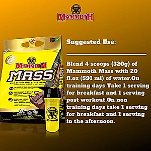 MAMMOTH MASS: Weight Gainer, High Calorie Protein Powder Workout Smoothie Shake, Meal Replacement, Low Sugar, Whey Isolate Concentrate, Casein Protein Blend, Weight Training, High Protein (Chocolate, 5lb)