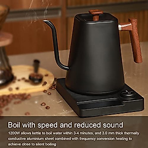 ARKANTOS 1L Gooseneck Electric Kettle with Auto Shut-off, Temperature control Stainless Steel Kettle, Keep Warm for 24h, Dry Burning Protection, Black