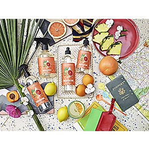 Caldrea Hand Soap Refill, Aloe Vera Gel, Olive Oil And Essential Oils To Cleanse And Condition, Tangelo Palm Frond Scent, 32 Oz