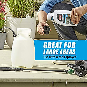 Ortho GroundClear Weed & Grass Killer Super Concentrate1 Fast-Acting Formula Kills the Toughest Weeds and Grasses, 32 fl. oz.