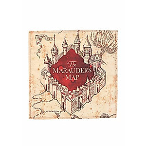 Ramen Bowl with Chopsticks StandardF