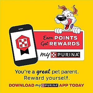 Purina Beggin' Strips Dog Treats, Original With Bacon Flavor - (2) 26 oz. Pouches