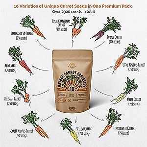 10 Carrot & 8 Onion Seeds Variety Packs Bundle Non-GMO Heirloom Seeds for Planting Indoor and Outdoor Over 5200 Carrot & Onion Seeds in One Value Bundle