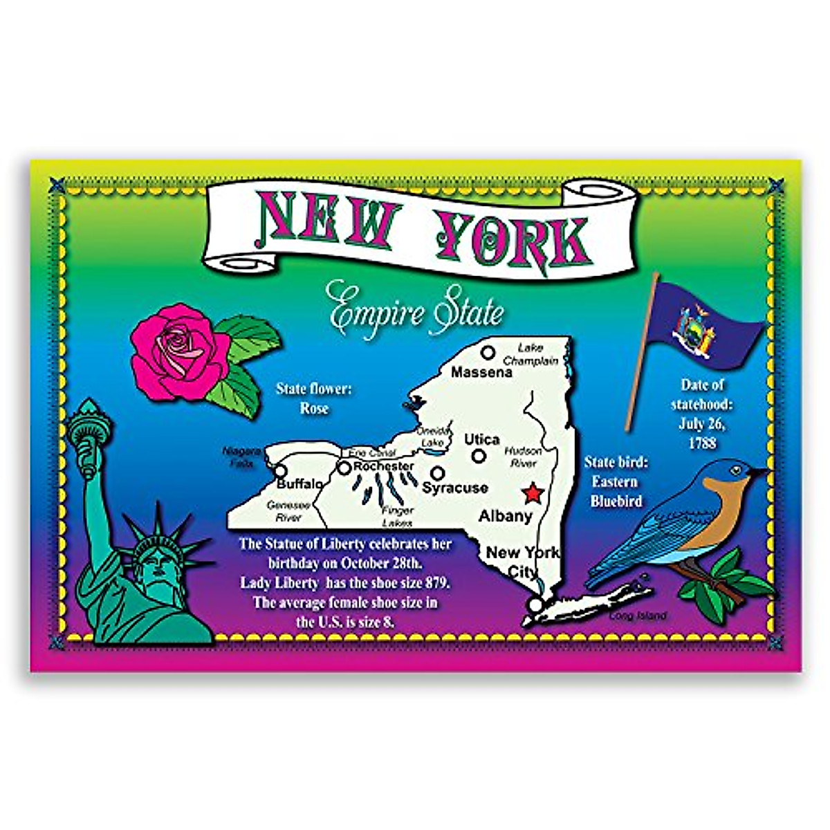 U.S. State Map Postcard Set. 50 modern post card variety pack. Illustrated postcards with maps of all fifty states of the United States of America. Made in USA.