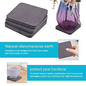 Set of 5 Water Absorbent Diatomite Coasters, Diatomaceous Earth Kitchen Soap Dish, Water Absorbing Stone for Hand Soaps & Cups & Drinks Bottles & Plants and Cosmetic Bottles