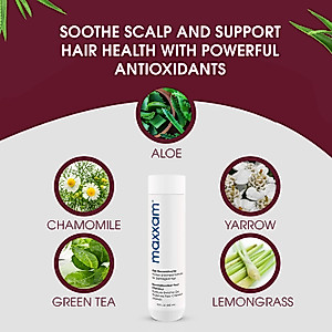 Maxxam Reconstructor Deep Hair Conditioner for Damage Control, Protein Enriched Hair Treatment for Damaged Hair, 10 Fl Oz