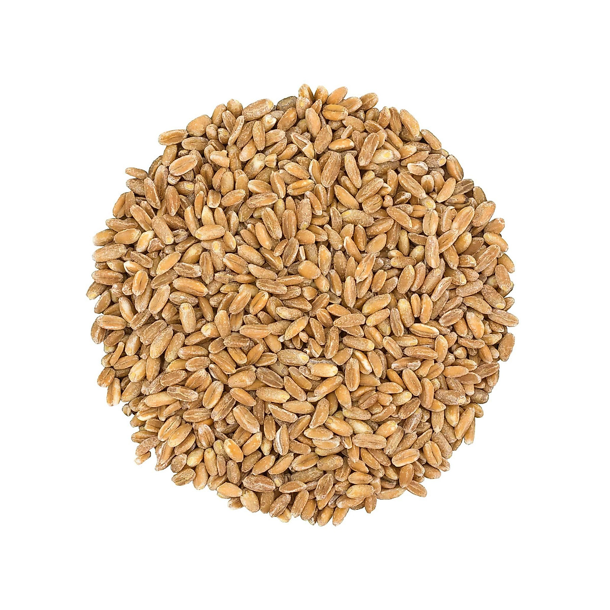 Food to Live Pearled Farro Grain, 1 Pound – Kosher, Vegan, Whole Grain in Bulk, Good Source of Dietary Fiber, Protein and Iron