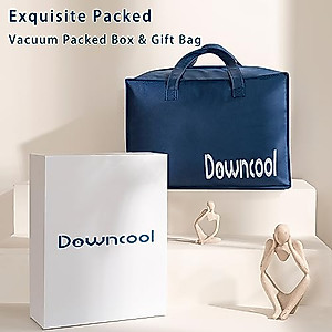 DOWNCOOL Goose Feather Down Comforter King Size - 750 Fill Power Duvet Insert - Ultra Soft Hotel Collection Comforter - All Season White King Down Comforter - King 106 x 90 Inch