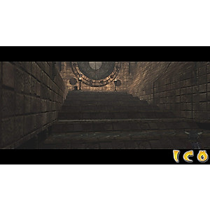 The ICO and Shadow of the Colossus Collection (Renewed)