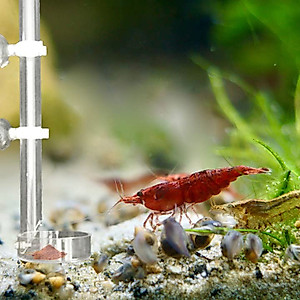 4Pcs Shrimp Feeding Tube and Dish, 2 Acrylic Shrimp Feeder Tube 2 Aquarium Shrimp Feeding Dish Clear Crystal Glass Shrimp Feeder Tube Tray with Suction Cup Fish Tank Feeding Supplies (Small)