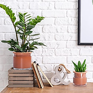 Phoenix Vine 4 Inch 6 Inch Self Watering Plants Pots, Design Terracotta Pots for Plants, Indoor Cylinder Terra Cotta Planter with Glass Vase Set, 51-A-G
