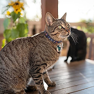 2 Pack Cotton Breakaway Cat Collar with Bell,Blue Moon and Stars Pendant Cute Cat Collar Kitten Collar,Ideal for Girl Cats Boy Cats