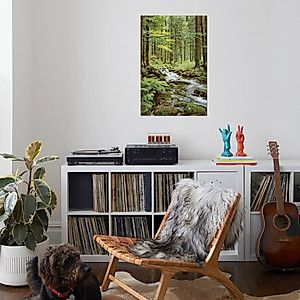AllPosters Wall Poster Forest Creek, 24x36
