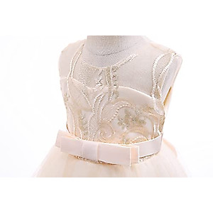 LENEFU Baby Girl Dress Kids Formal Flower Lace Embroidery,Sleeveless Princess Gown for Party Wedding Pageant(Champagne130)