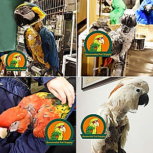 Bonaweite Pet Parrot Anti-bite Collar, Anti-Grab Feather Lick Wound Healing Safety Practical Neck Cover, Protective Recovery Collars for Macaw African Budgies Parakeet Agapornis Fischeri Cockatiel