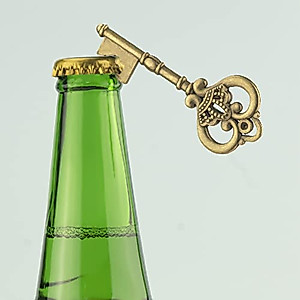 BAGnoREGio Faux Fur Neoprene Beverage Slim Can Insulated, 6-Pack Soft Fuzzy Plush Tall Skinny Cans Sleeves with 1PC Skeleton Key Bottle Opener (Leopard)