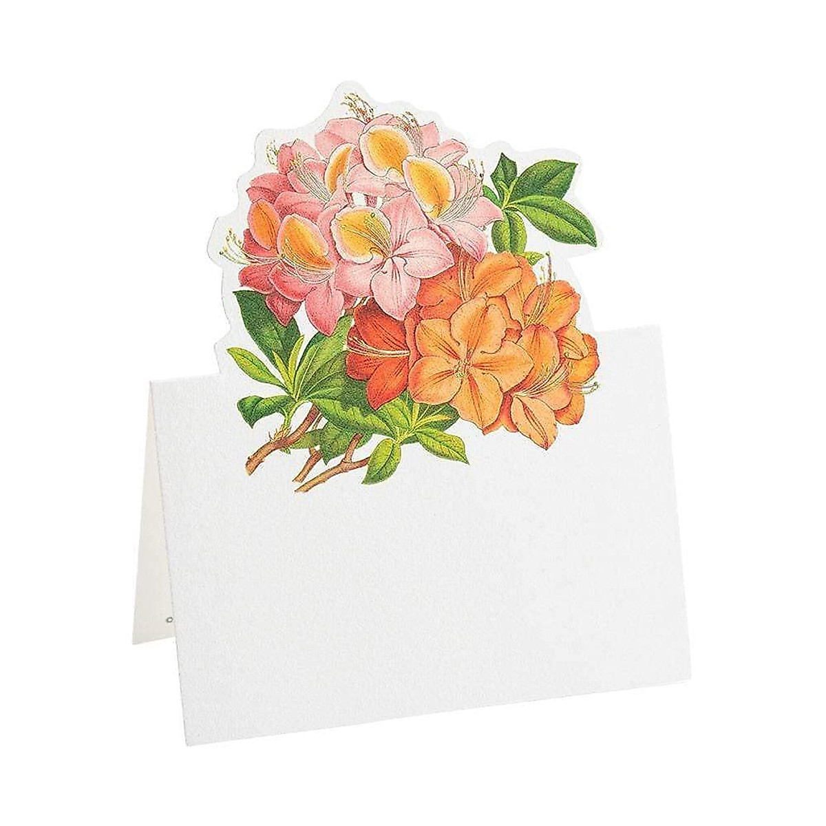 Caspari Jefferson's Garden Study Die-Cut Place Name Cards - 8 Per Package
