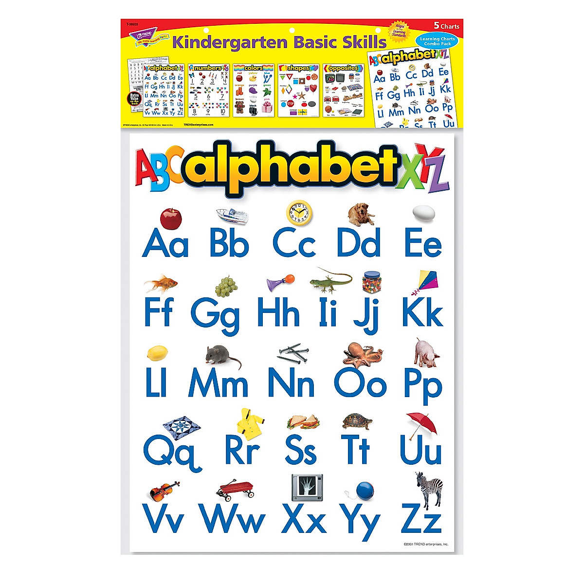 TREND enterprises, Inc. Kindergarten Basic Skills Learning Chts Combo Pk, Set 5, Multi, (T-38920)