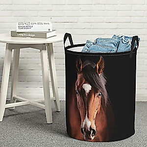 FeHuew Handsome Brown Horse Collapsible Laundry Basket with Handle Waterproof Hamper Storage Organizer Large Bins for Dirty Clothes,toys