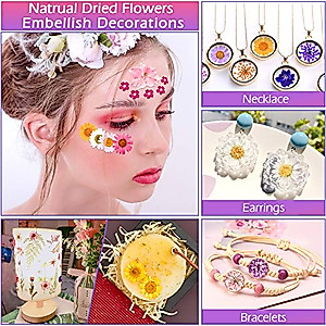 140 Pcs Dried Pressed Flowers for Resin, Real Pressed Flowers Dry Leaves Bulk Natural Herbs Kit for Scrapbooking DIY Art Crafts, Epoxy Resin Jewelry Molds, Candle, Soap Making, Nails Décor