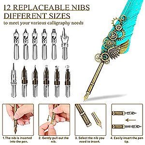 AIYNC Feather Calligraphy Pen Ink Set, Quill Pen and Ink Set Including Mechanical Feather Pen and Wooden Dip Pen, 5 Colors of Ink, 12 Replacement Nibs, Pen Holder, Envelope and Letter Paper (Green)