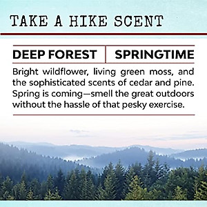 Forest Witch Infused with Wild Foraging, Meditation & Forest Friends Who Get Me Scent: Take A Hike