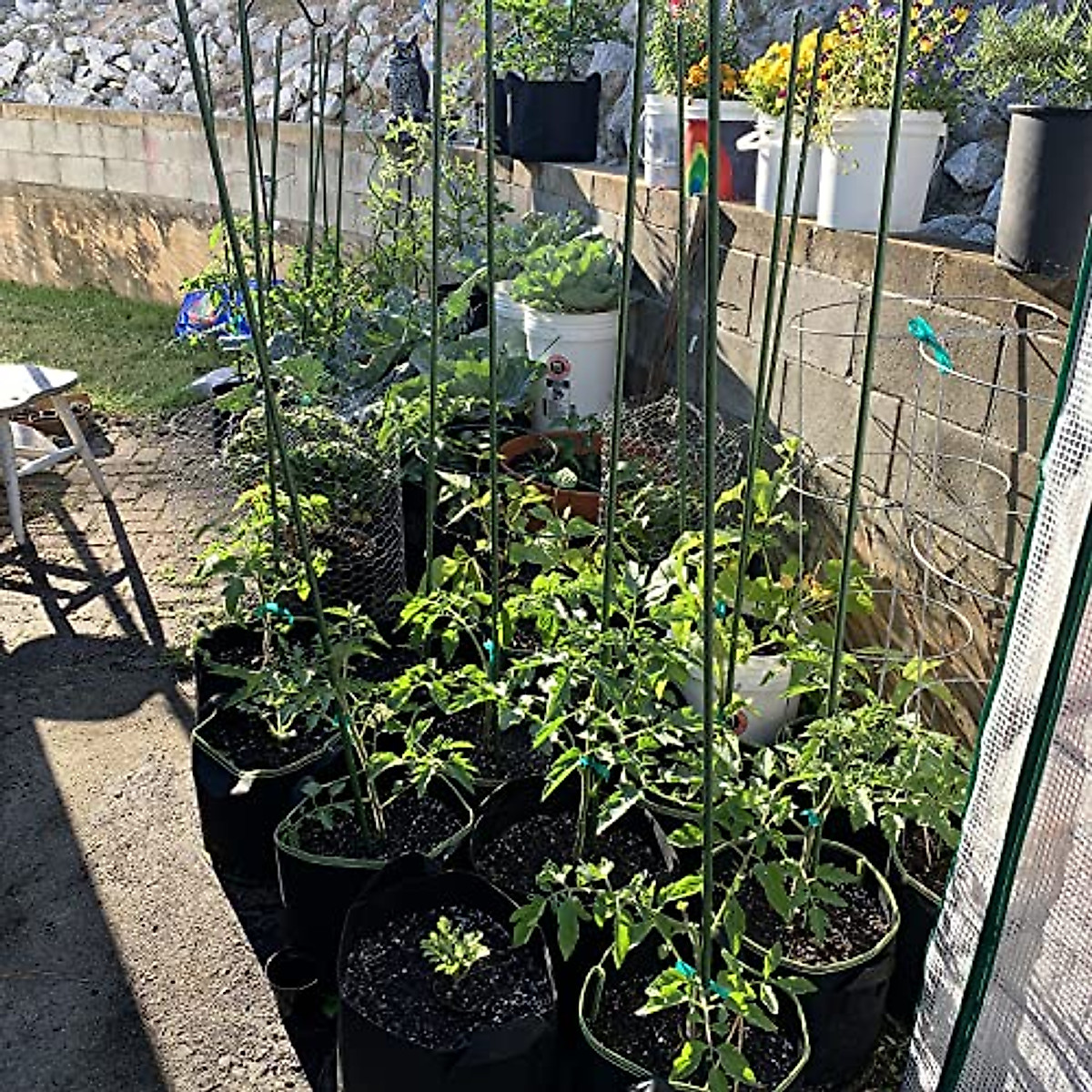 Garden Stakes 60 Inches Plastic Coated Hollow Steel Plant Stakes, Tomato Stakes, Pack of 25