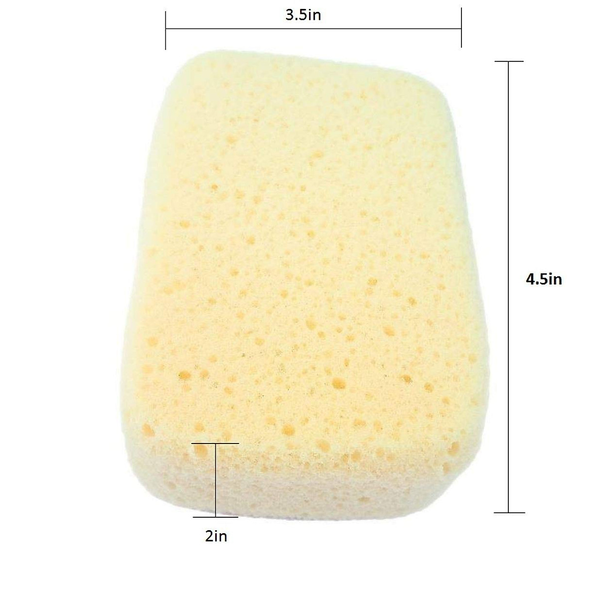 Michelle's Melting Pot Foam Bath Sponge Shower Sponge 3 Count (Variety Pack)